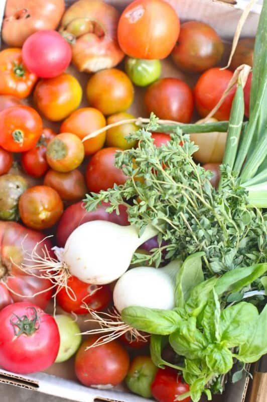 How to Get Cheap Farmer's Market Produce and Homemade Spaghetti Sauce ...