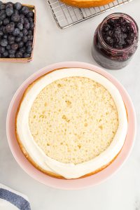 The Best Homemade Fresh Blueberry Cake Filling - The Seaside Baker